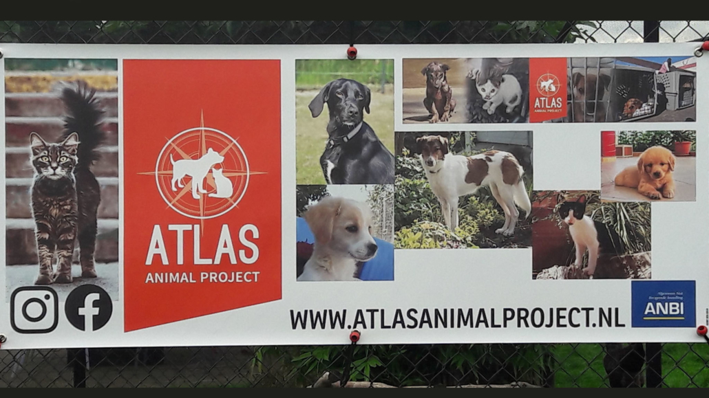 Atlasdag – Atlas Animal Project