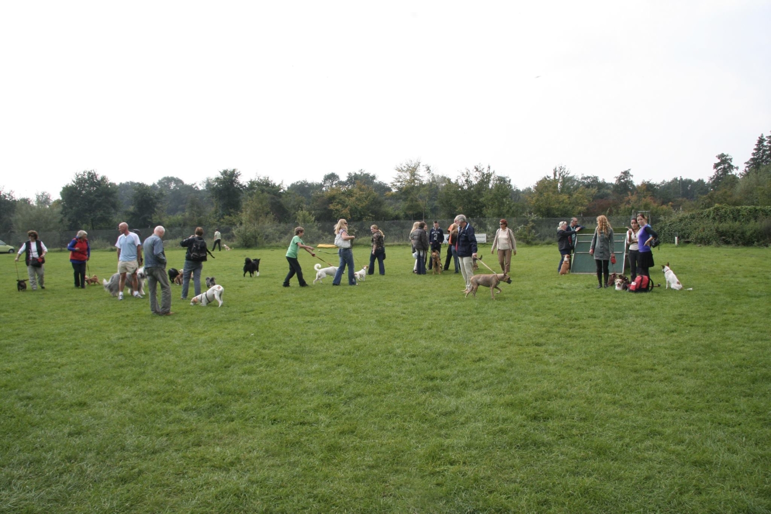 Atlas Animal Project – Dierenhulp organisatie voor verbeteren van de ...